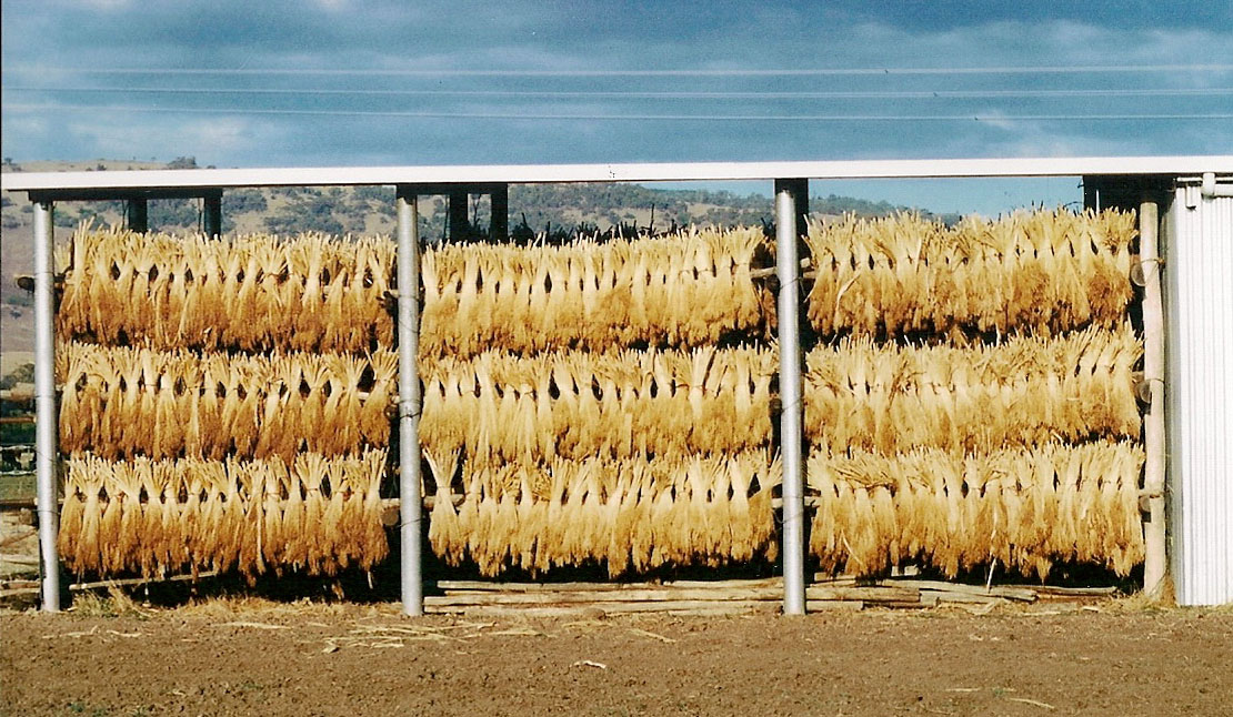 millet shed | Tumut Broom Factory
