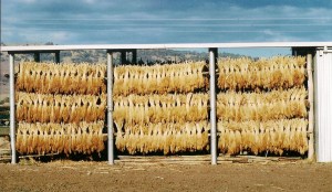 The Broom Making Process | Tumut Broom Factory